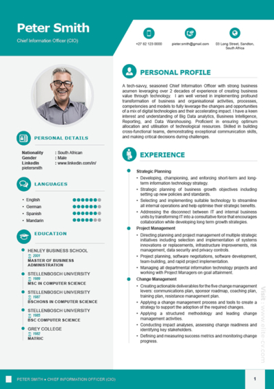 CV Samples - Professional and Executive CV Designs